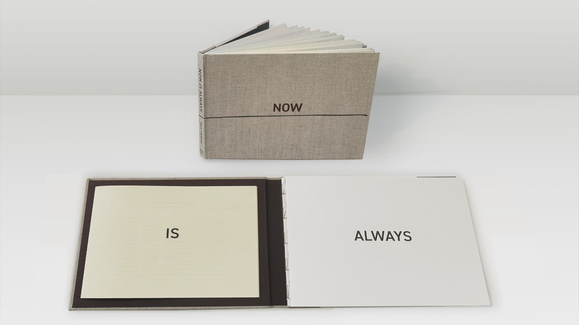 Vaune Trachtman: NOW IS ALWAYS | Tusen Takk Press – Storymatic Studios
